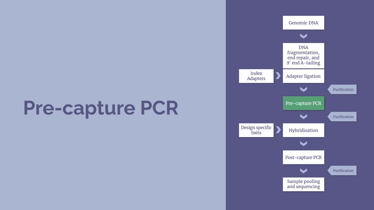 NGS Workflow – Pre-capture PCR