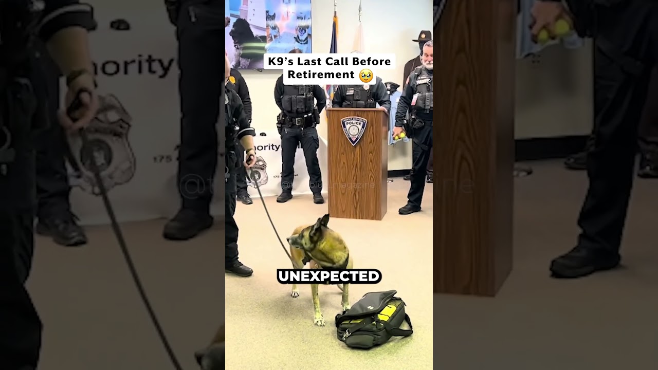 Officers' Big Surprise for K9 🥳
