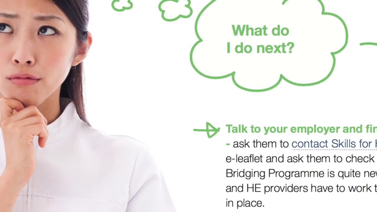 A quick guide to the Bridging Programme