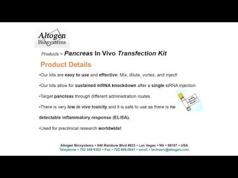 Pancreas In Vivo Transfection Kit