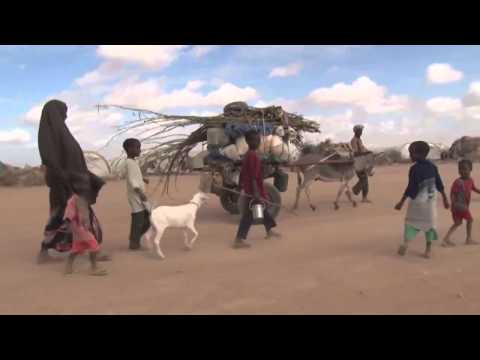 Borderless Higher Education for Refugees