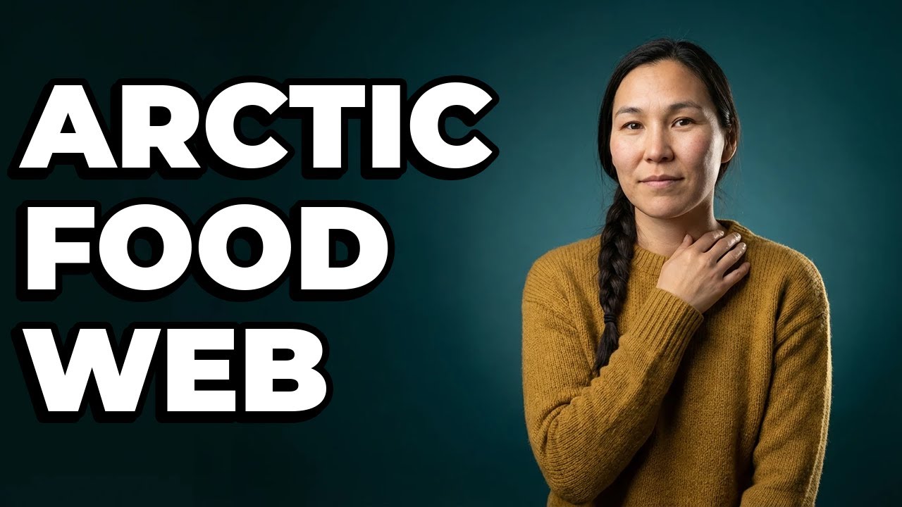 How Does The Arctic Food Chain Function?