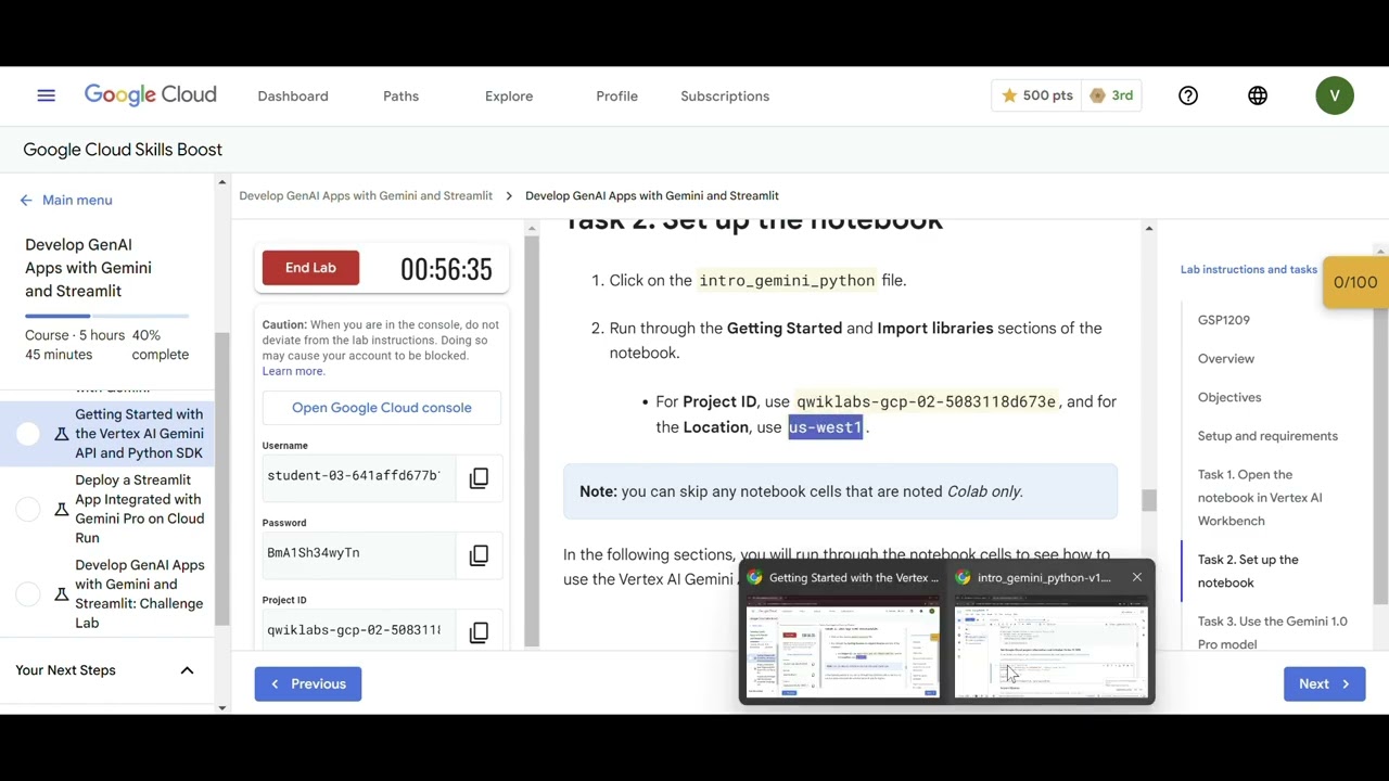 Getting Started with the Vertex AI Gemini API and Python SDK - Complete Solution