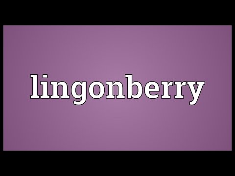 Lingonberry Meaning