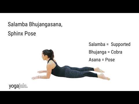 Sphinx Pose Sanskrit Pronunciation