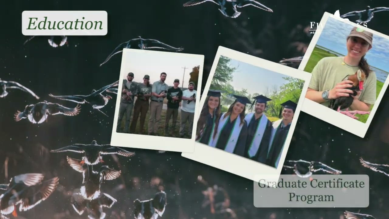 Mallards on a Mission Video