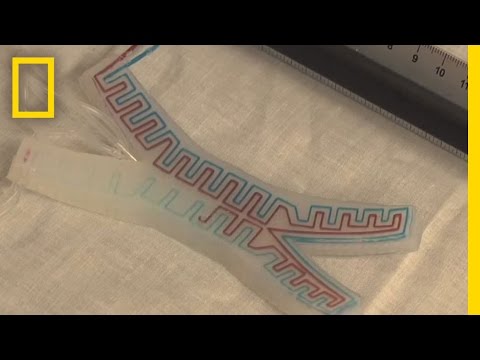 Rubber Robot Can Change Colors | National Geographic