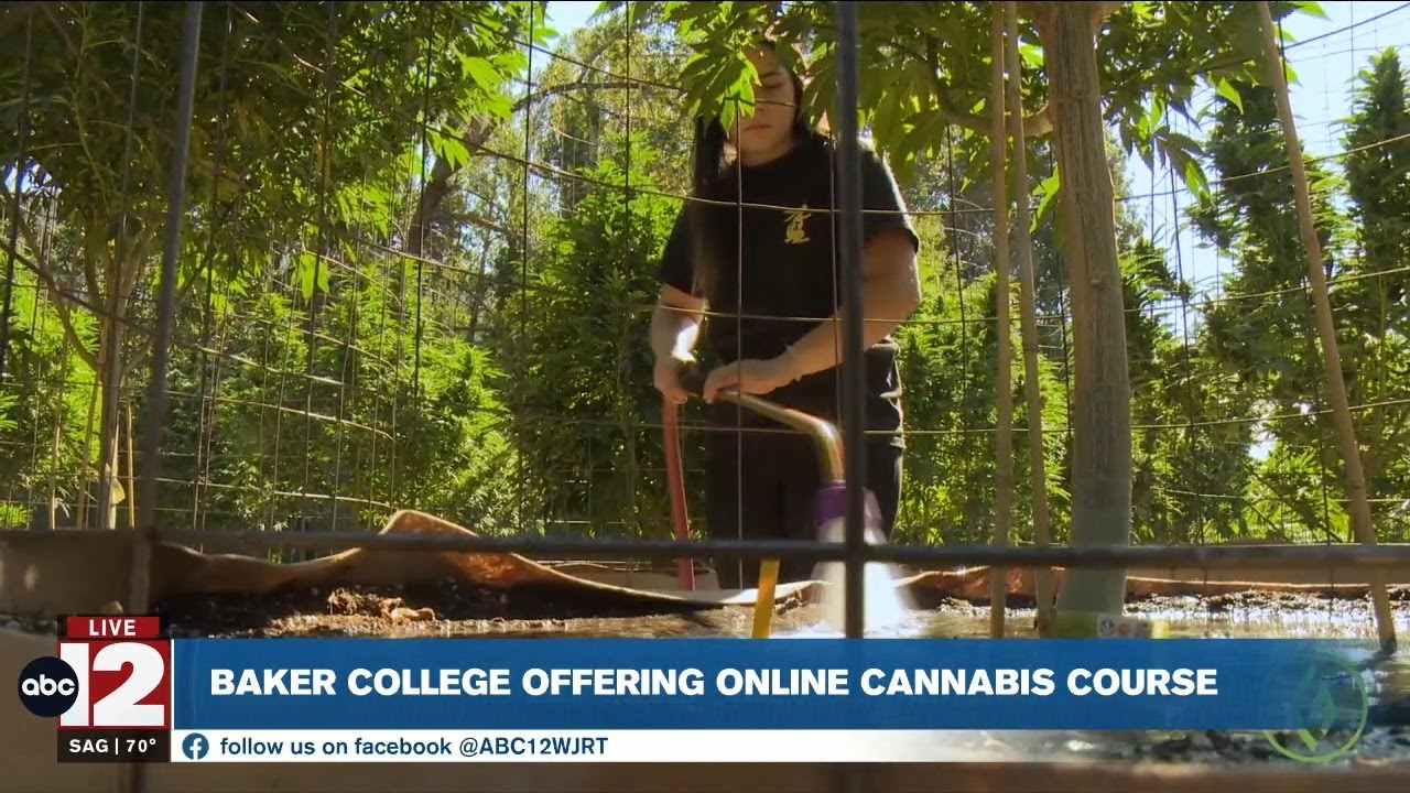 Baker College offering online cannabis course
