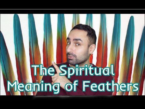 The Spiritual Meaning of Feathers