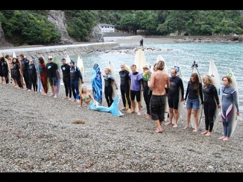 Very rare and precious Material: in the Taiji Bay – The Cove – Hayden ...