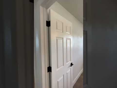 Pinellas Point, St Petersburg FL Home Tour #tampa #tampaflorida #shorts