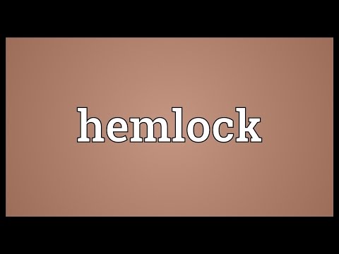 Hemlock Meaning