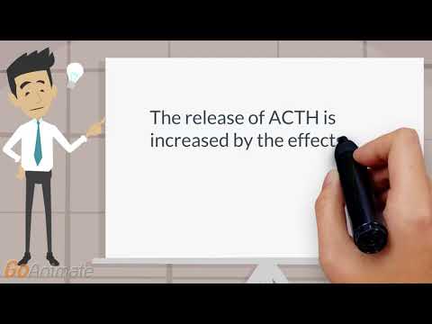 Hormones that result in increased release of ACTH