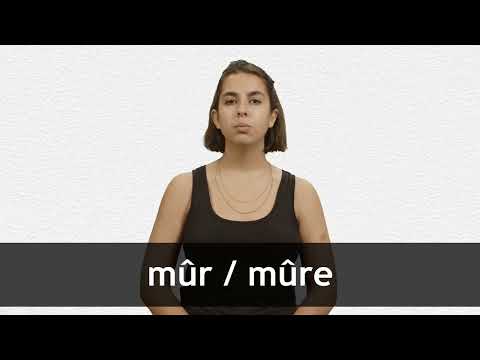 English Translation of “MÛR” | Collins French-English Dictionary
