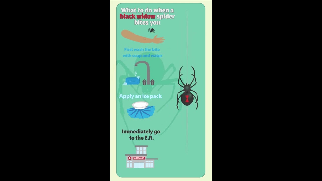 Assignment 4 - Animated Infographic