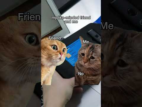 Just a simple conversation between like-minded entrepreneurial cats! 🐱🐈