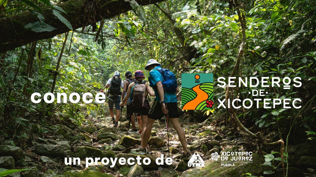 SENDEROS DE XICOTEPEC