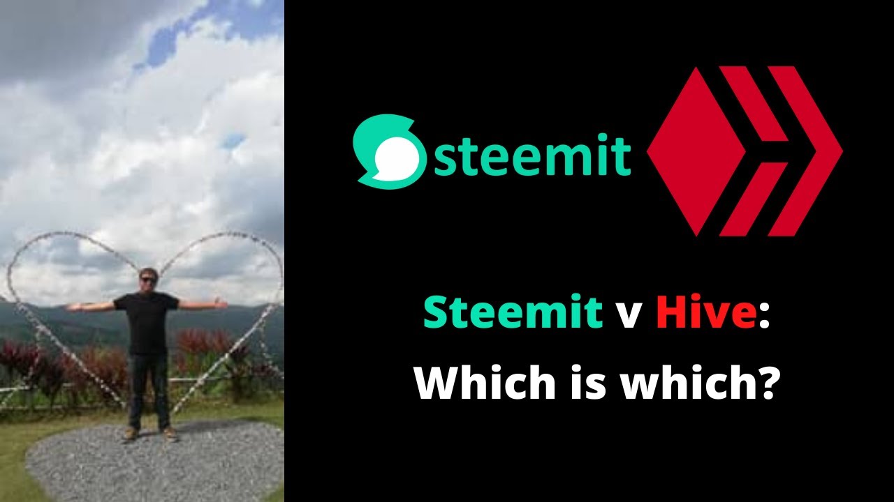Steemit v Hive: Which is which?