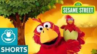 Sesame Street: Airplane Pilot | Elmo the Musical | Safe Videos for Kids