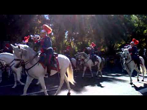 El protocolo Real. | trucosdeprotocolobasico