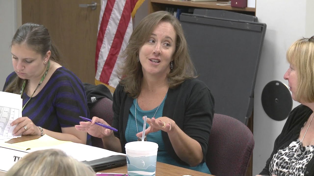 Data Analysis Protocol Model