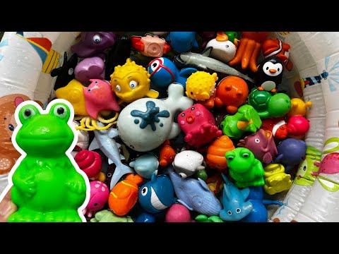 Ocean Animal Names & Facts for Preschoolers| Sea Creatures Toy Learning | Ocean creatures for kids