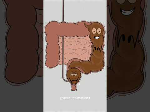 how poop system works! 🤣😂 (best animation memes) #shorts