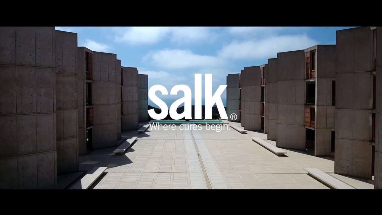 Salk architecture - concrete