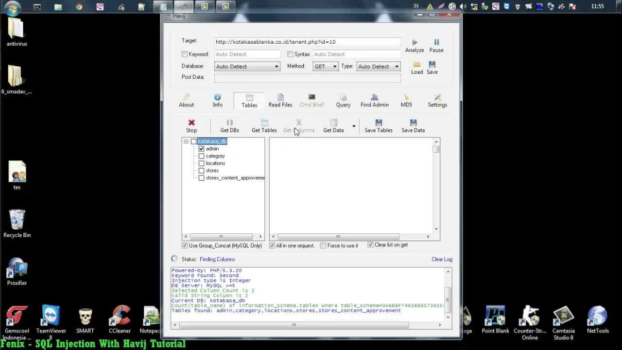 SQL Injection With Havij Tutorial