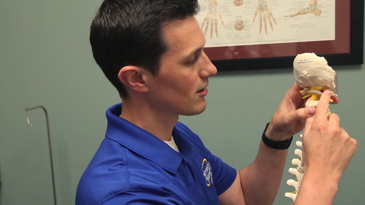 Comprehensive Spine Program Overview