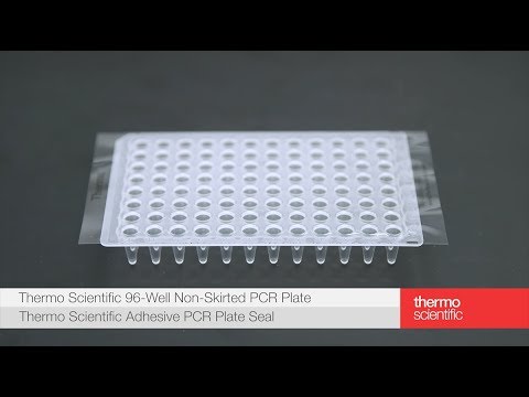 Polymerase Chain Reaction Plate - PCR Reaction Plate Latest Price ...