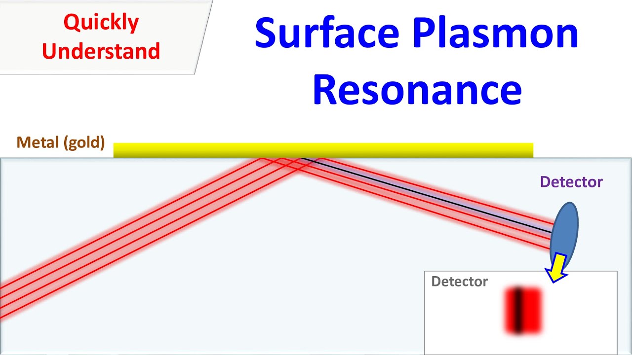 Surface Plasmon Resonance