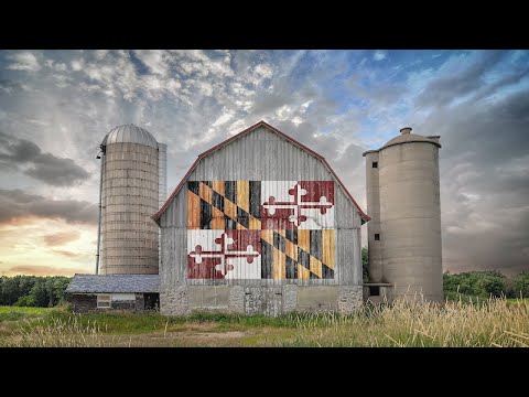 A Better State of Care for Maryland