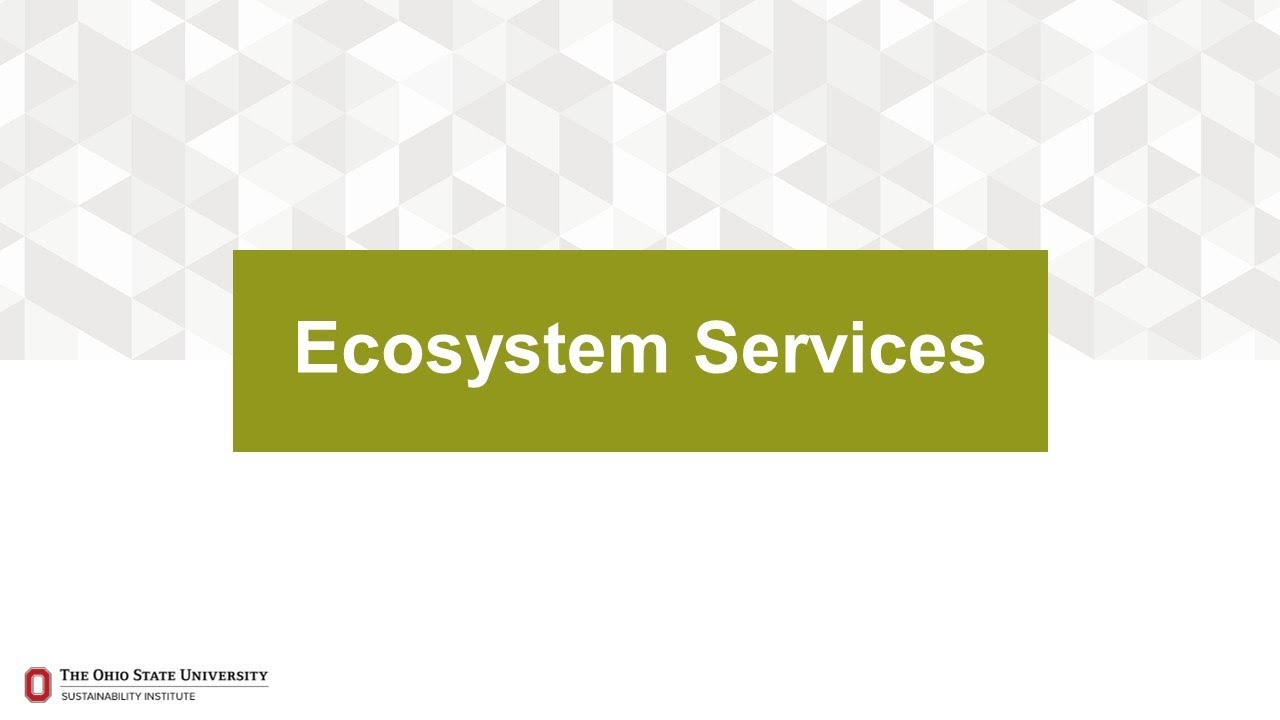 Sustainability Goals - Ecosystem Services