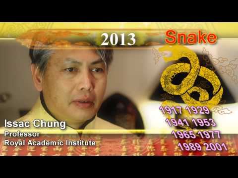 2013 Chinese new year predictions for 12 animals - snake