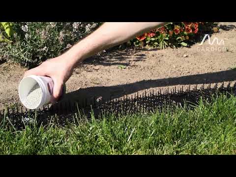 🚫🐾 Protect Your Home and Garden with Anti-Cat Spikes 🔥 | BirdGard Iberia