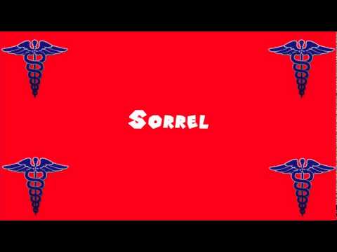 Pronounce Medical Words ― Sorrel