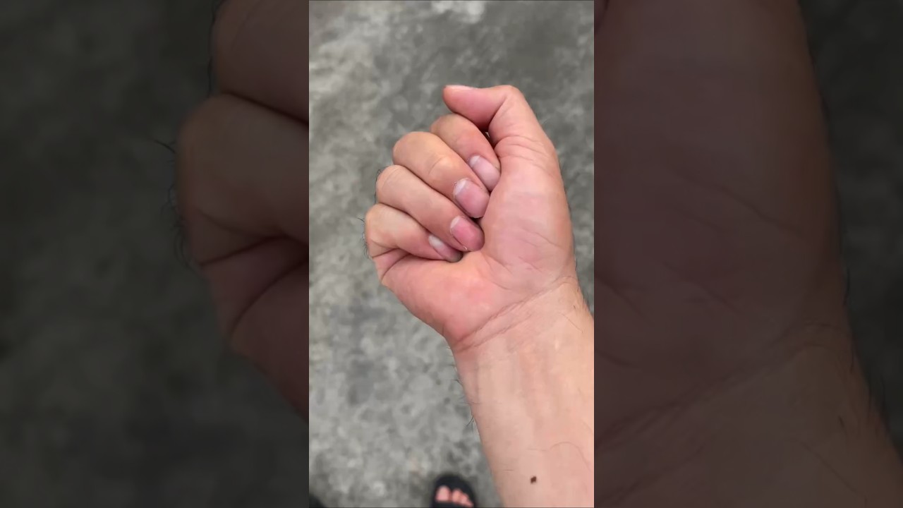 Unexpected Discovery: The Cutest Baby Praying Mantis Ever| Mysterious Animals Around Us