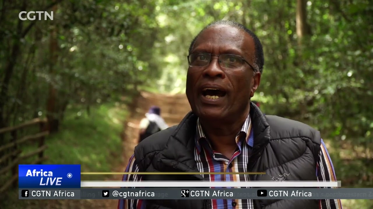 Kenya's conservation efforts: A look at Nairobi's forested urban nature hub