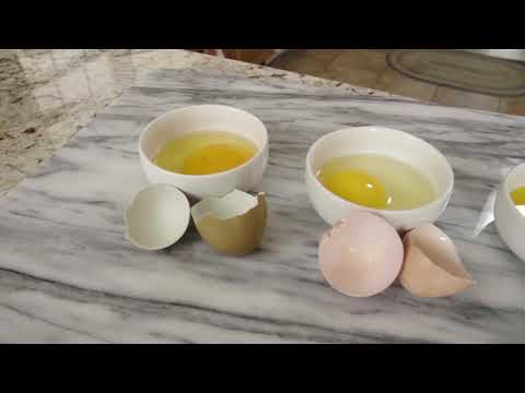 All About Eggshell Color