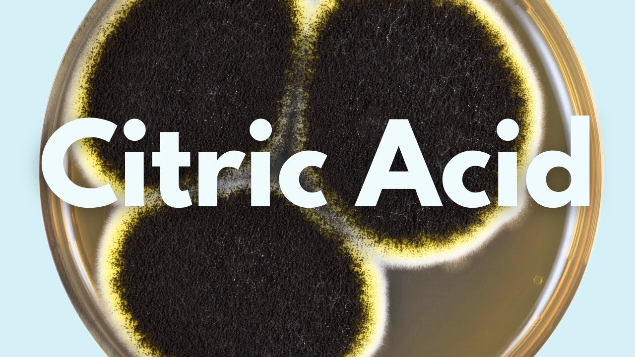 Understanding Citric Acid: Its Origins, Uses, and Connection to Black ...