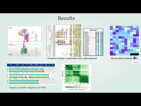 Developing Novel Drug Candidates for MDD, MMD, and Hypertension - Nambita
