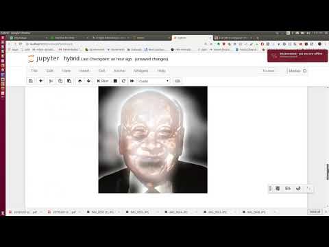 Hybrid image and SIFT