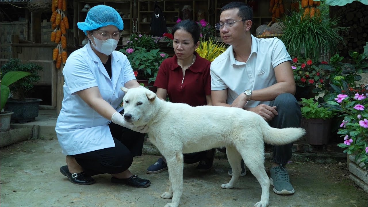 Tuan's strange behavior aroused Uri's serious suspicions about both Tuan and his own mother.