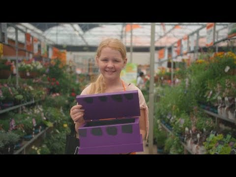 How to Build a Treasure Box | Mitre 10 Easy As for Kids DIY