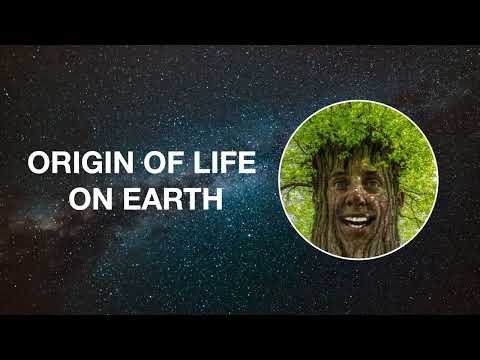 The Mystery of Life's Origin on Earth: Old Tree's exploration