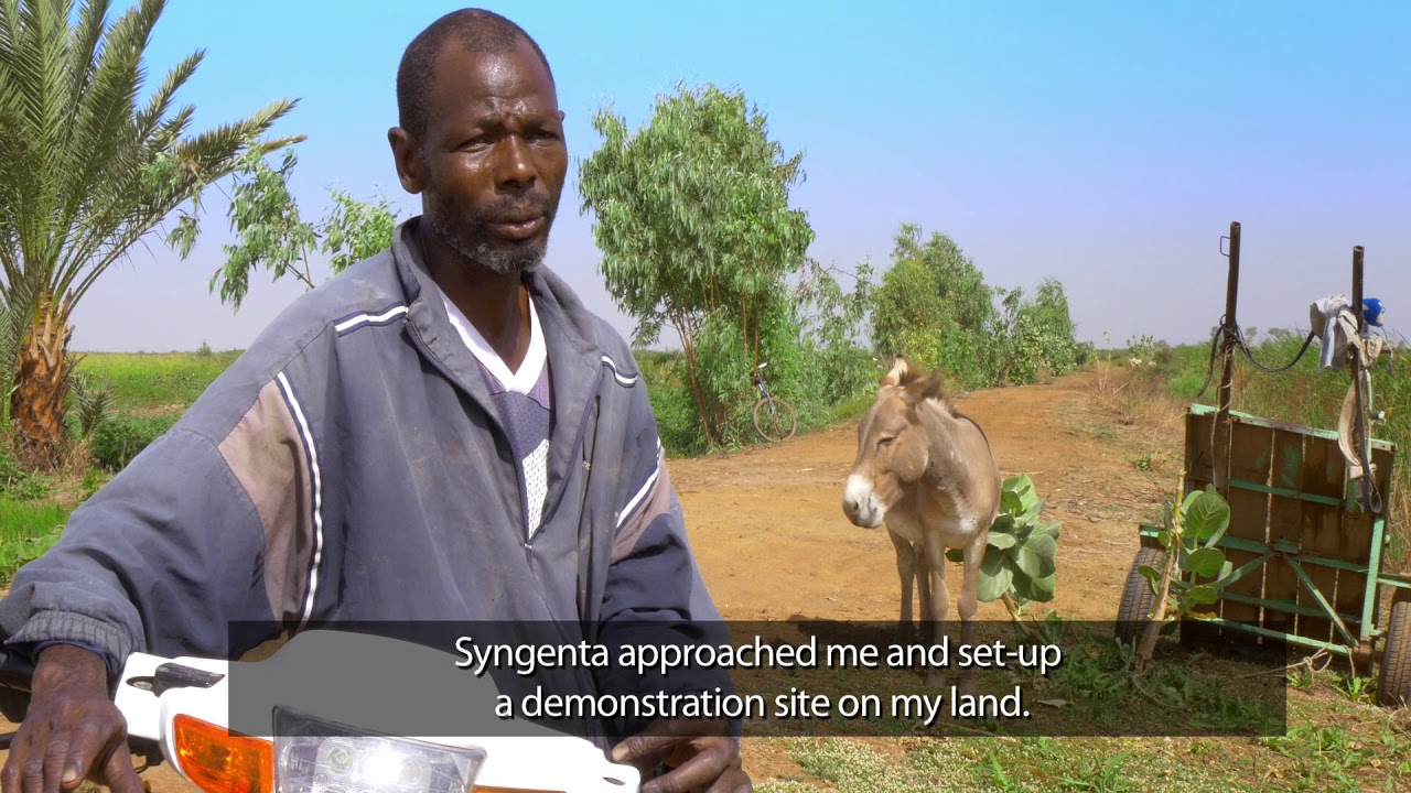 SSTP Case study: The simple technology revolutionizing agriculture in Senegal