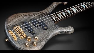Warwick Stuart Zender Signature Bass - What To Know & Where To Buy ...