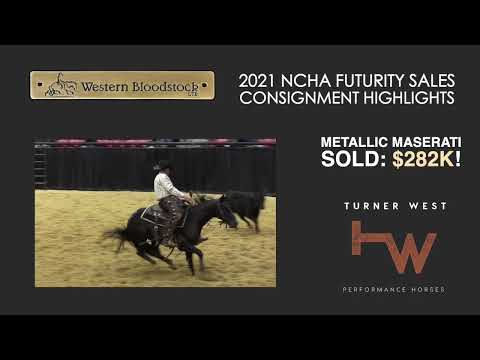 Turner West Performance Horses Spotlight