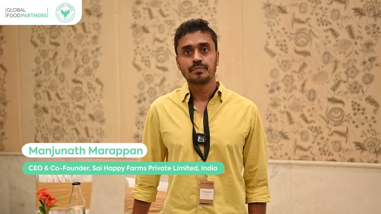 How do Impact Incentives help Happy Hens (Sai Happy Farms Pvt. Ltd.)?